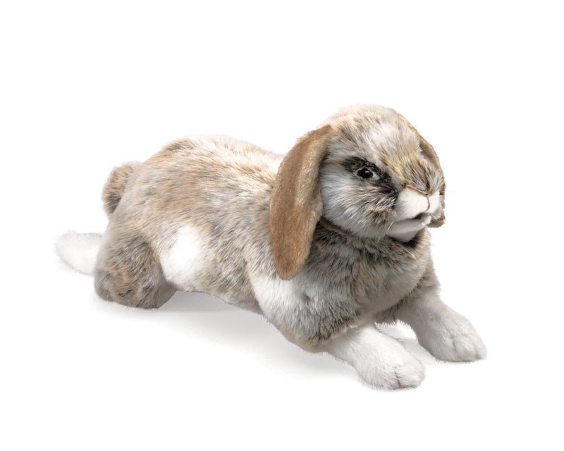 Holland Lop Rabbit Puppet by Folkmanis Puppets | The Playful Collective