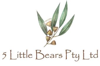 5 Little Bears Collection | The Playful Collective