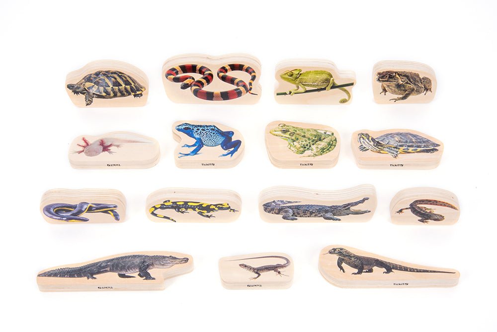 Wooden Reptile & Amphibian Blocks - 15pcs by Tickit | The Playful ...